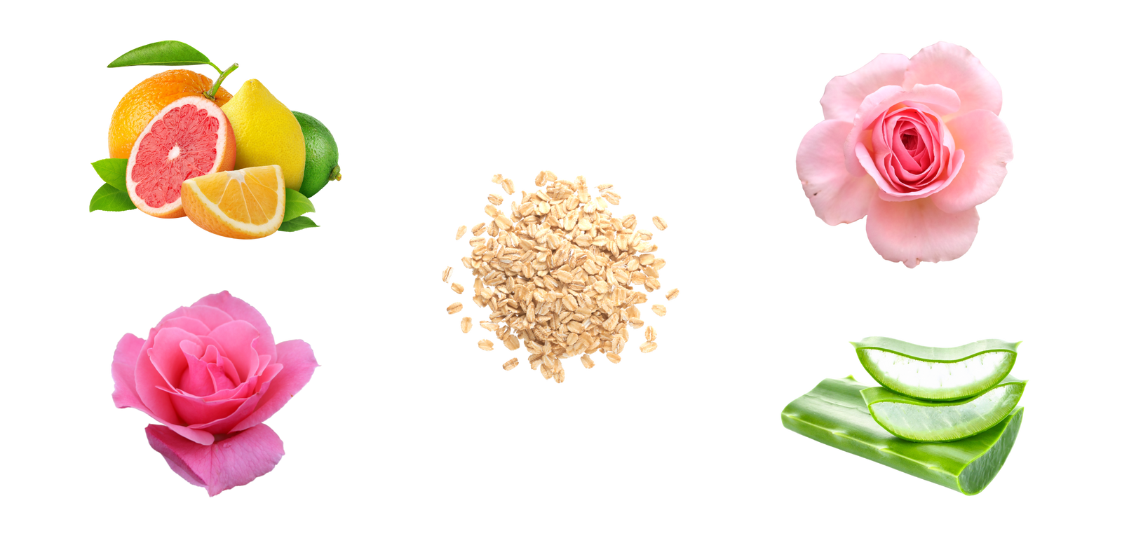 Citrus Splash | Purifying Antioxidant Toner