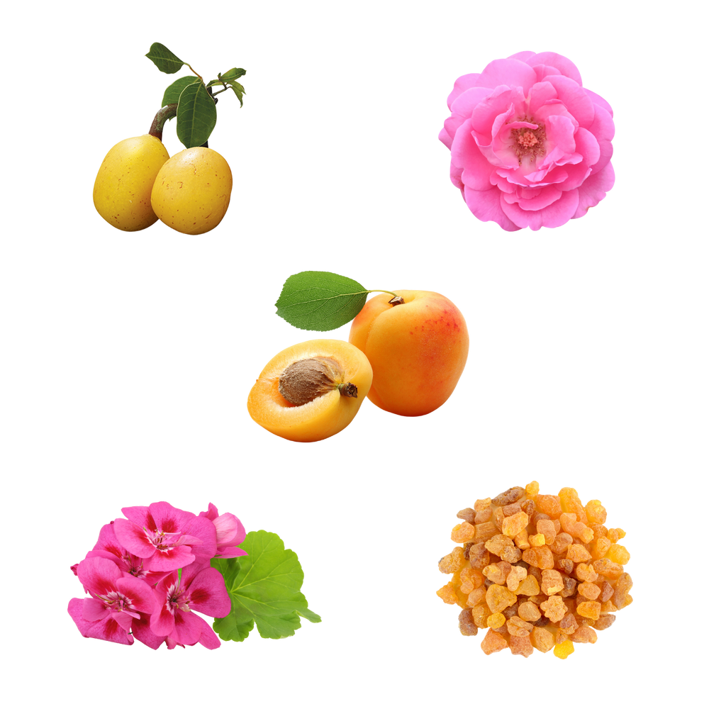 Marula Magic | Antioxidant Facial Oil